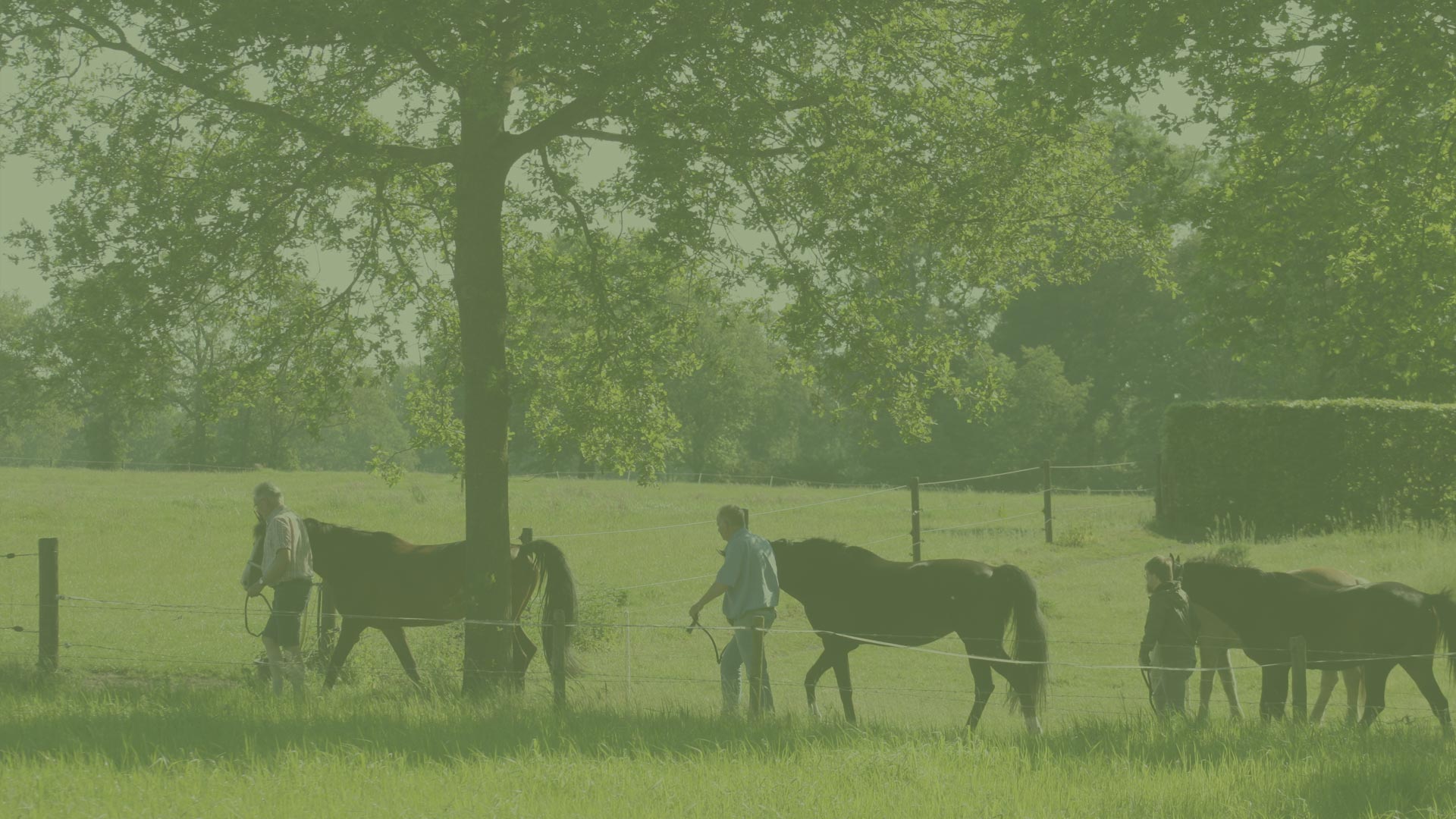Onze activiteiten - Zorgboerderij Beumershoek